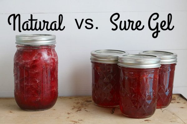 natural vs. sure gel jam - Abigail Albers