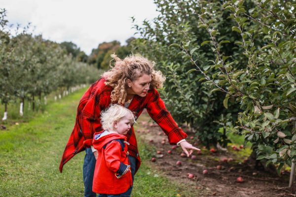 Fall Apple Picking Adventure in Michigan - Abigail Albers