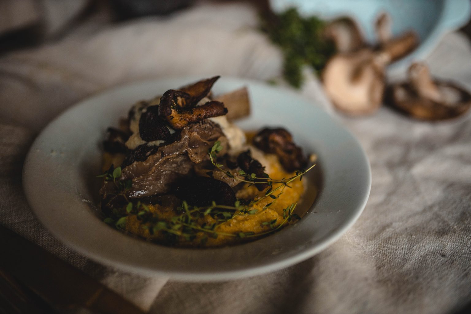 Slow Cooked Short Ribs with Buttery Mushroom Sauce - Abigail Albers