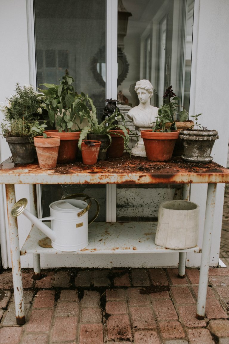 How and Why to Grow Basil - Abigail Albers add flavor to your garden