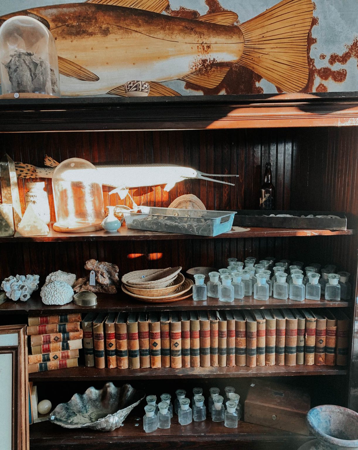 Exploring Urbana Ohio Springfield Antique Extravaganza - Abigail Albers