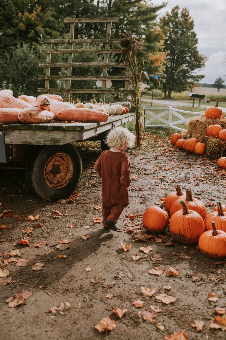 A Visit to the Neighbors Farm Stand - Abigail Albers