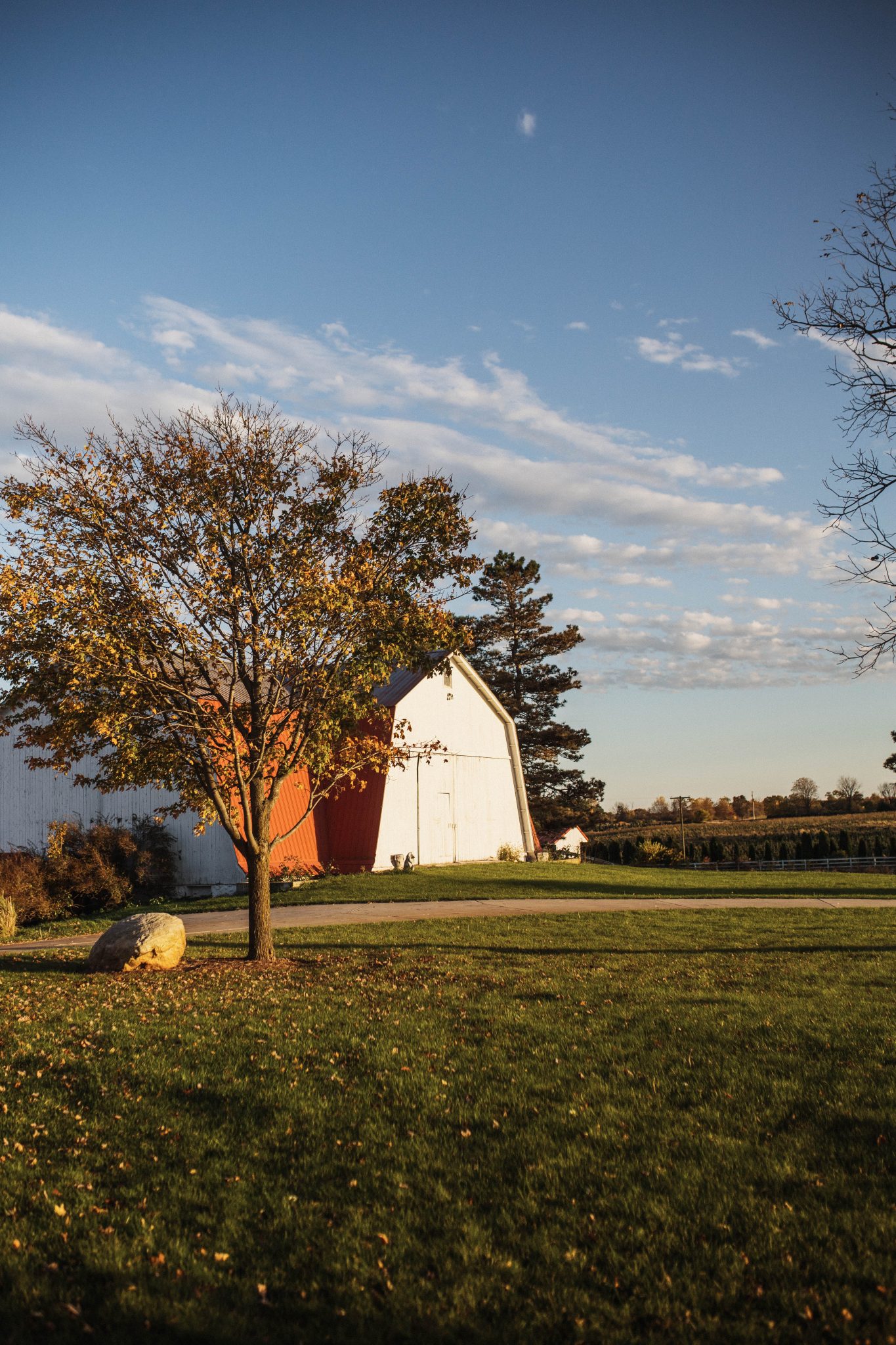 Fall Leaves on the Farm - Abigail Albers reflecting on seasons